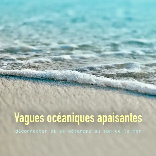 Vagues océaniques apaisantes: déconnecter et se détendre au son de la ...