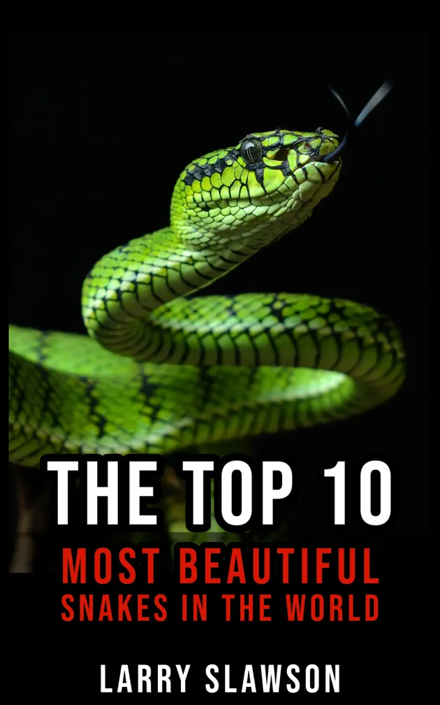 The Top 10 Most Beautiful Snakes in the World | E-book | Larry Slawson | Nextory