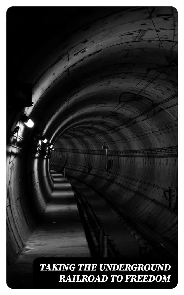 Taking the Underground Railroad to Freedom : True Life Stories of ...