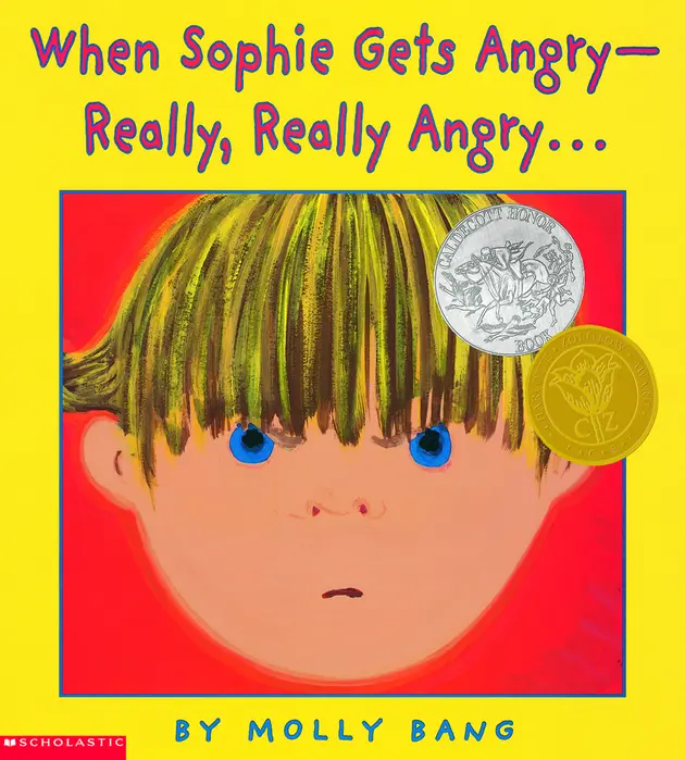 When Sophie Gets Angry - Really, Really Angry… – Audiolibro – Molly ...