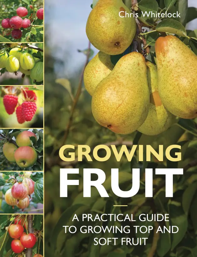 Growing Fruit : A Practical Guide to Growing Top and Soft Fruit – E ...