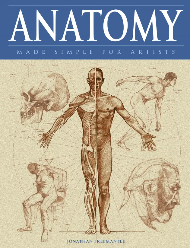 Anatomy Made Simple for Artists – E-kirja – Jonathan Freemantle – ISBN ...