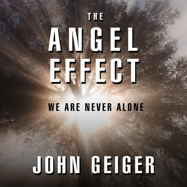 The Angel Effect : The Powerful Force That Ensures We Are Never Alone ...