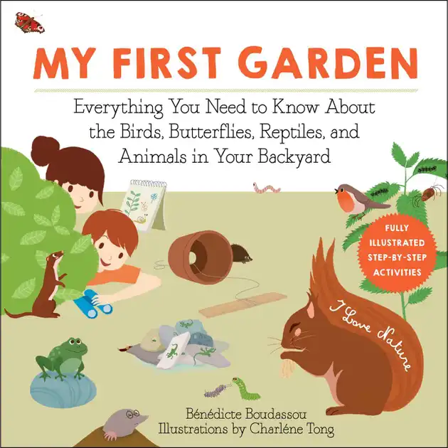 My First Garden : Everything You Need To Know About The Birds ...