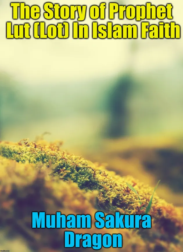 The Story of Prophet Lut (Lot) In Islam Faith | E-book | Muham Sakura ...