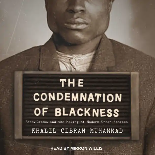The Condemnation of Blackness : Race, Crime, and the Making of Modern ...