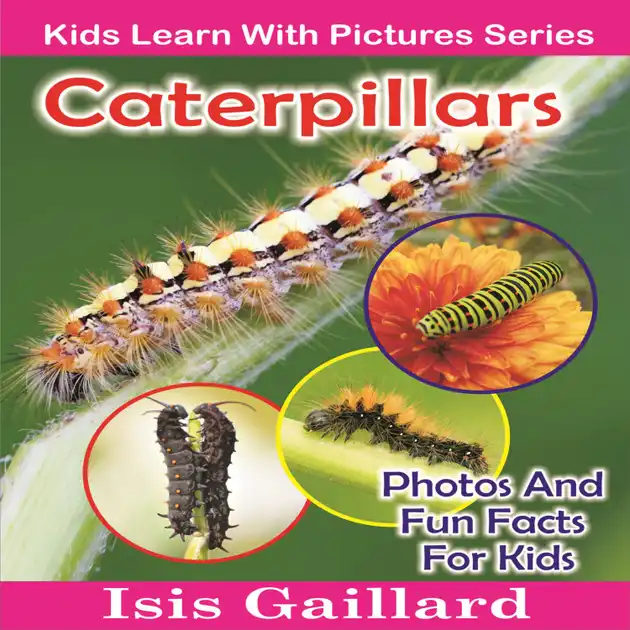 Caterpillars: Caterpillars: Photos and Fun Facts for Kids | audiolibro ...