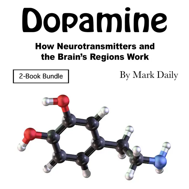 Dopamine : How Neurotransmitters and the Brain’s Regions Work ...
