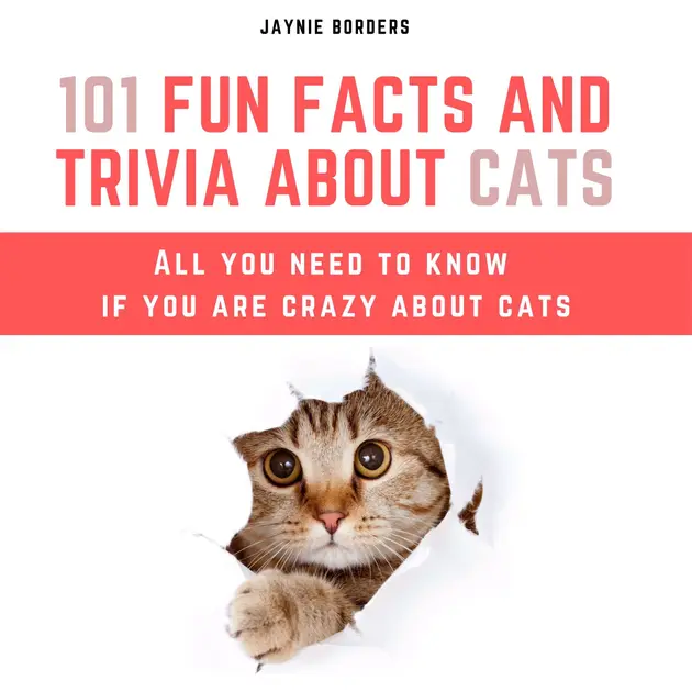 101 Fun Facts And Trivia About Cats : All You Need To Know If You Are ...