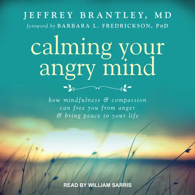 Calming Your Angry Mind : How Mindfulness and Compassion Can Free You ...