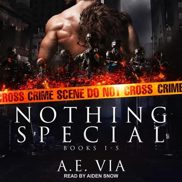 Nothing Special Series Box Set : Books 1-5 – Livre audio – A.E. Via ...