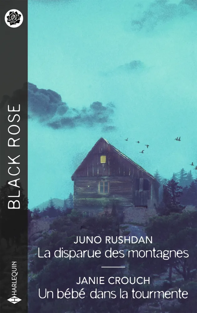 La disparue des montagnes - Un bébé dans la tourmente – E-book – Juno ...