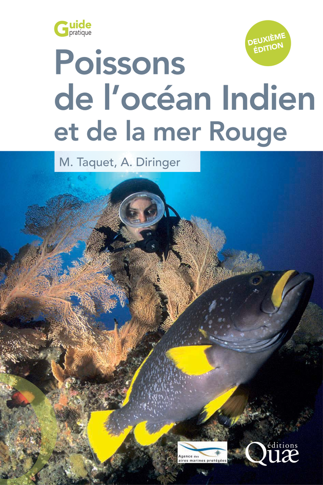 Poissons de l'océan Indien et de la mer Rouge – E-book – Marc Taquet ...
