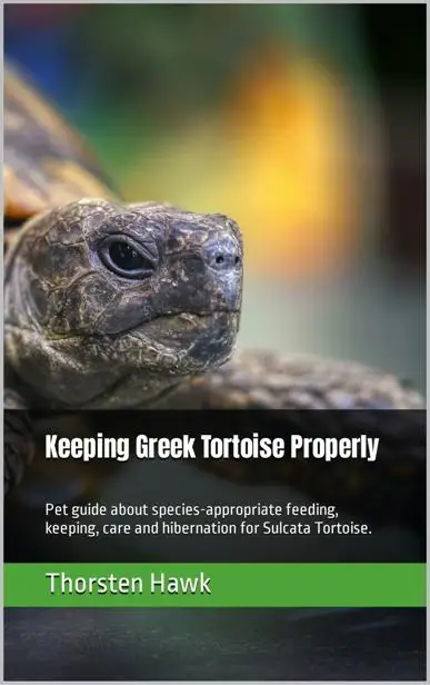 Keeping Greek Tortoise Properly : Pet Guide About Species-appropriate ...