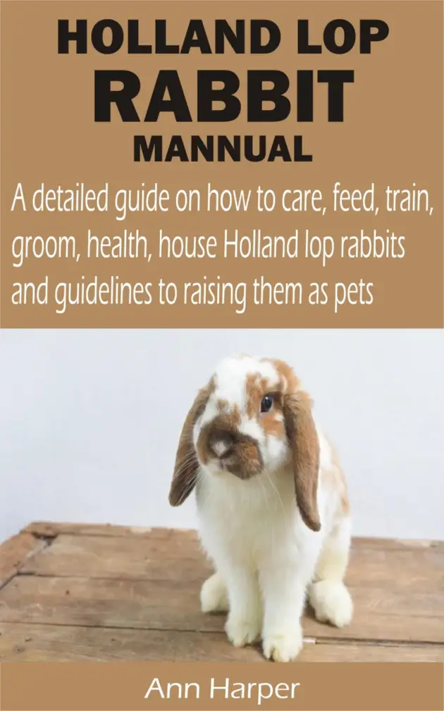 HOLLAND LOP RABBIT MANNUAL : A detailed guide on how to care, feed ...