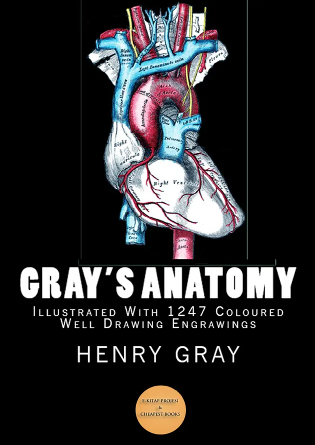 Gray’s Anatomy (Illustrated With 1247 Coloured Well Drawing Engrawings ...