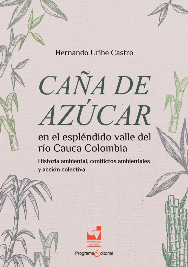 Caña de azúcar en el espléndido valle del río Cauca,: Colombia Historia ...