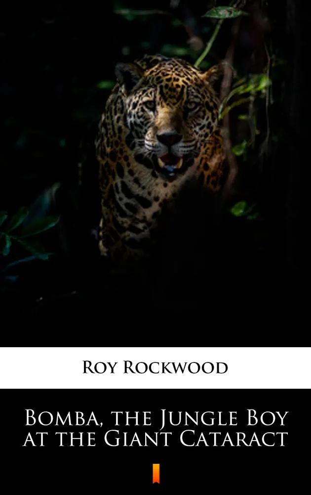 Bomba, the Jungle Boy at the Giant Cataract | E-bog | Roy Rockwood ...