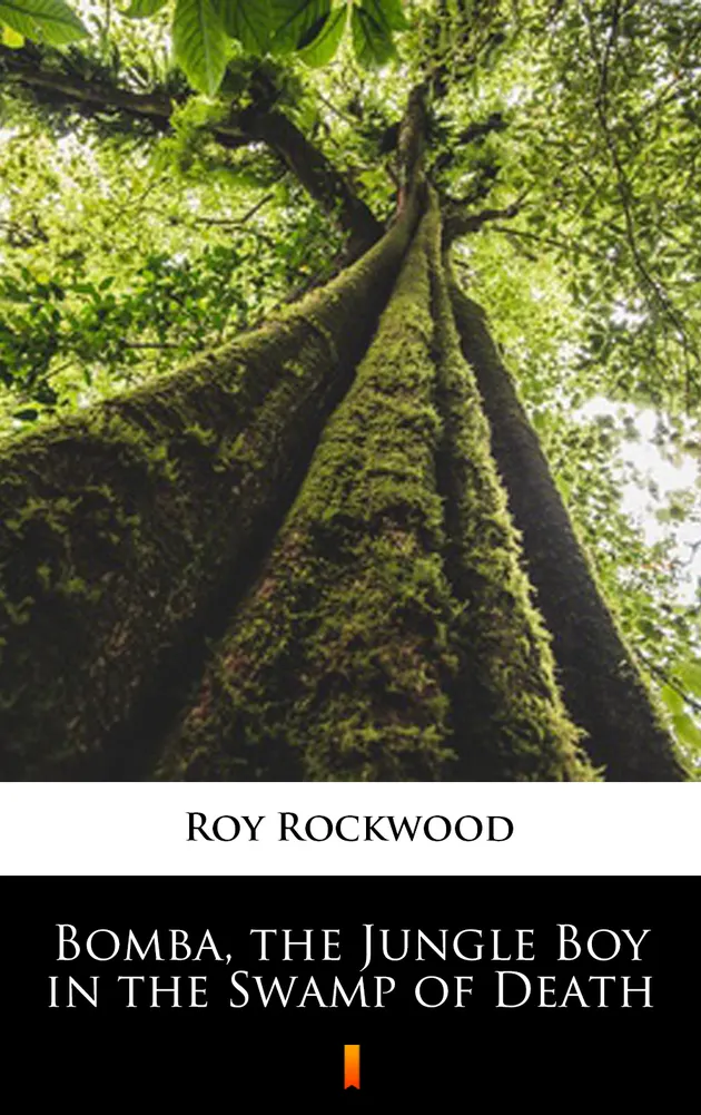 Bomba, the Jungle Boy in the Swamp of Death – E-book – Roy Rockwood ...