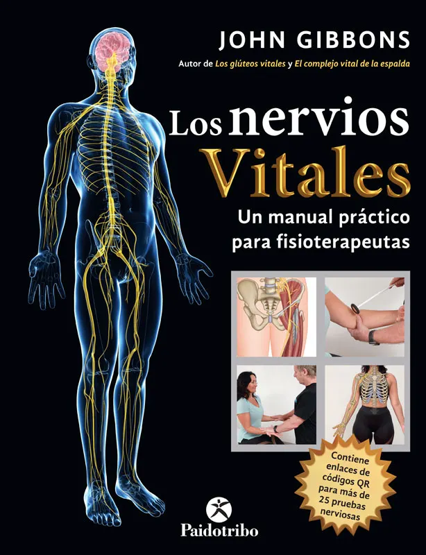 Los Nervios Vitales : Un Manual Práctico Para Fisioterapeutas (Color ...