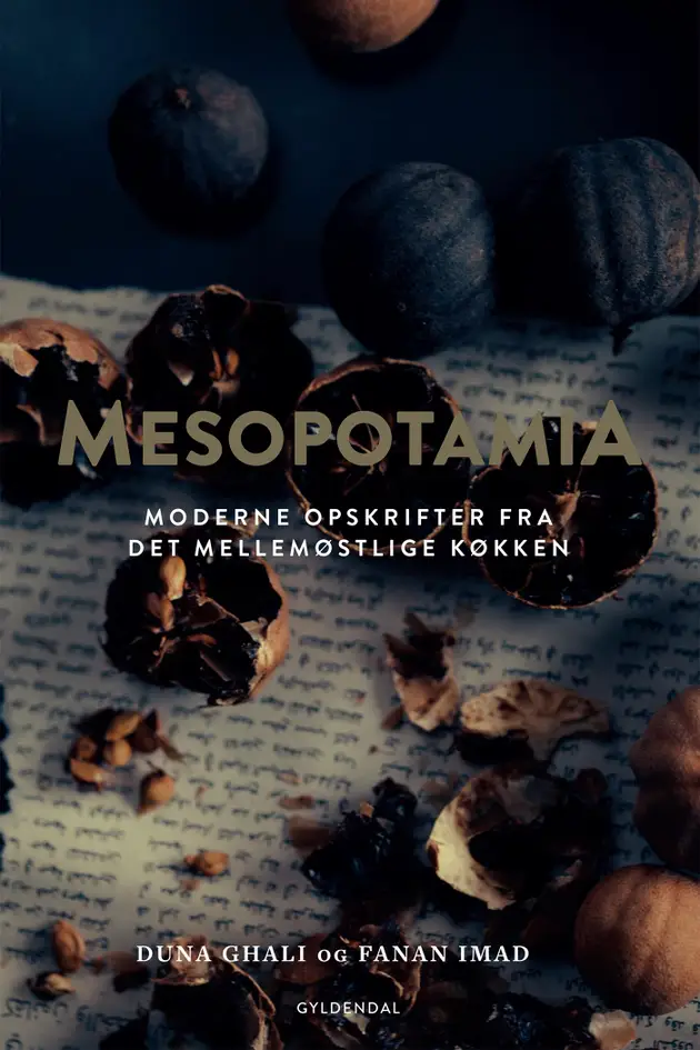 Mesopotamia : moderne opskrifter fra det mellemøstlige køkken – E-book ...