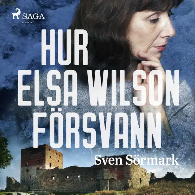 Hur Elsa Wilson försvann – Äänikirja ja E-kirja – Sven Sörmark – ISBN ...