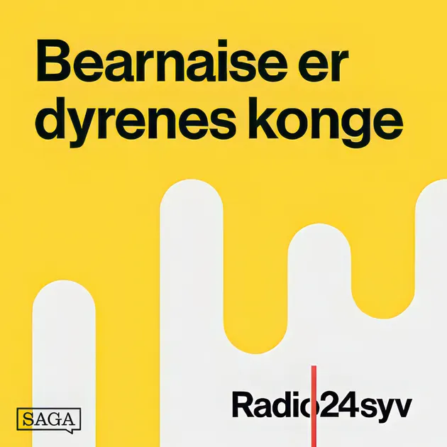 SANDHEDEN OM REKLAME (eller en af dem) – Livre audio – Martin Kongstad ...