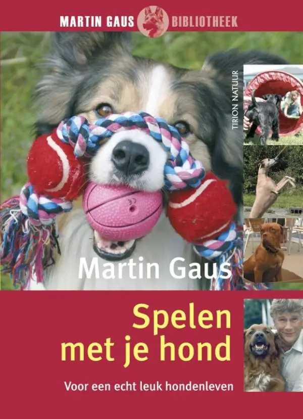 Spelen met je hond : houd je hond actief en gezond – E-book – Martin ...