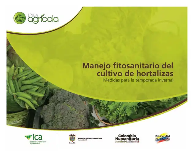 Manejo fitosanitario del cultivo de hortalizas medidas para la ...
