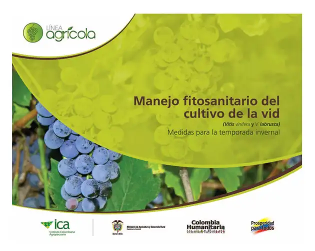 Manejo fitosanitario del cultivo de la vid (vitis vinifera y V.labrusca ...