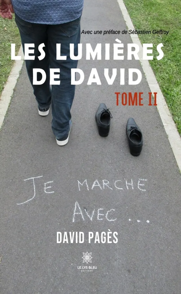 Les lumières de David – Serie de libros