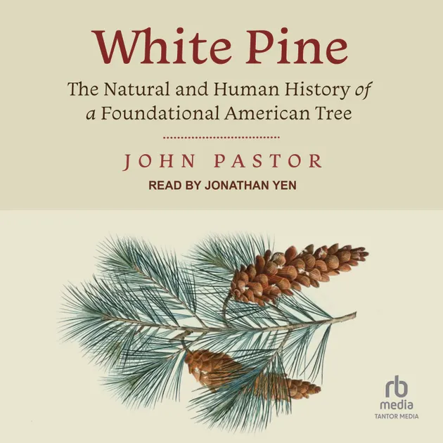 White Pine : The Natural and Human History of a Foundational American ...