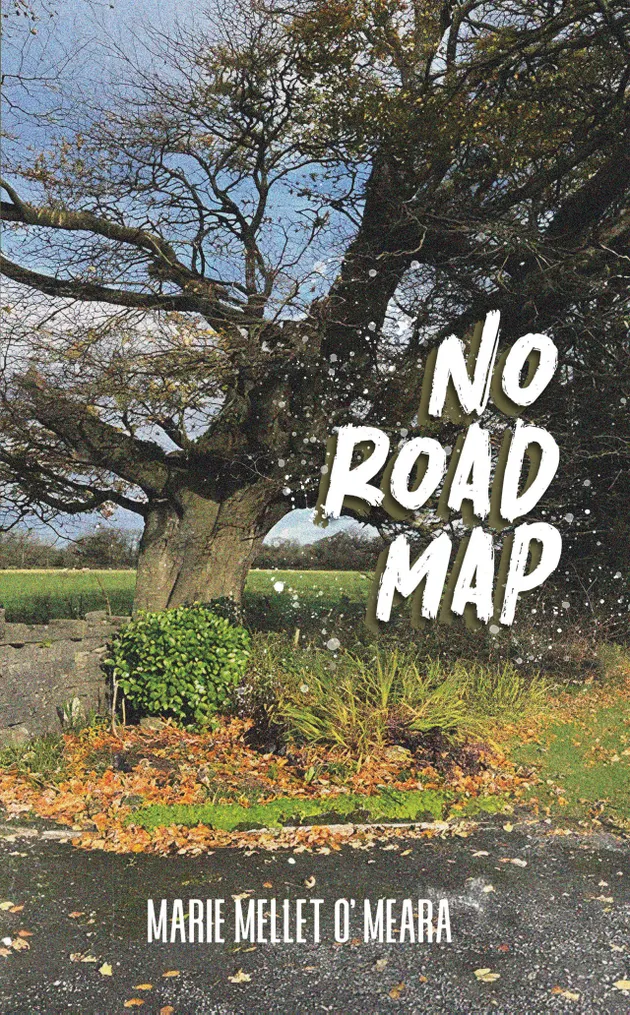 No Road Map – E-book – Marie Mellett O'Meara – ISBN 9798891745353