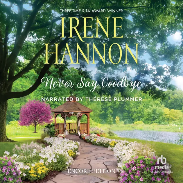 Never Say Goodbye : Encore Edition – Luisterboek – Irene Hannon – ISBN ...